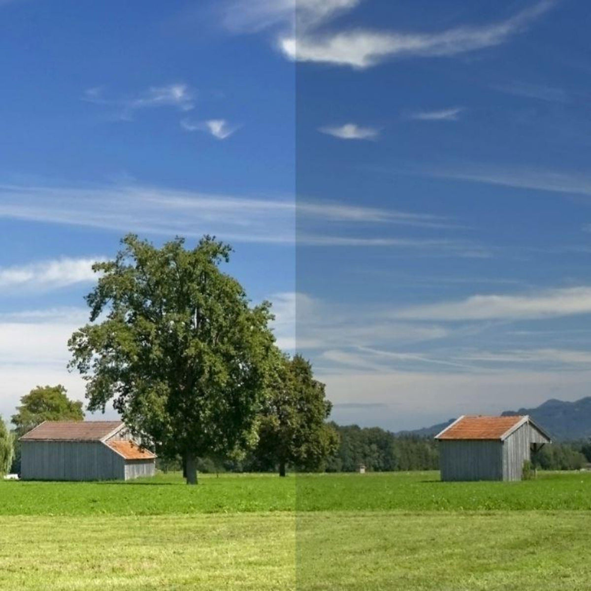 WOREMOR® WF50 Window Film SafeView (2.49 feet) — EMR Shielding Solutions